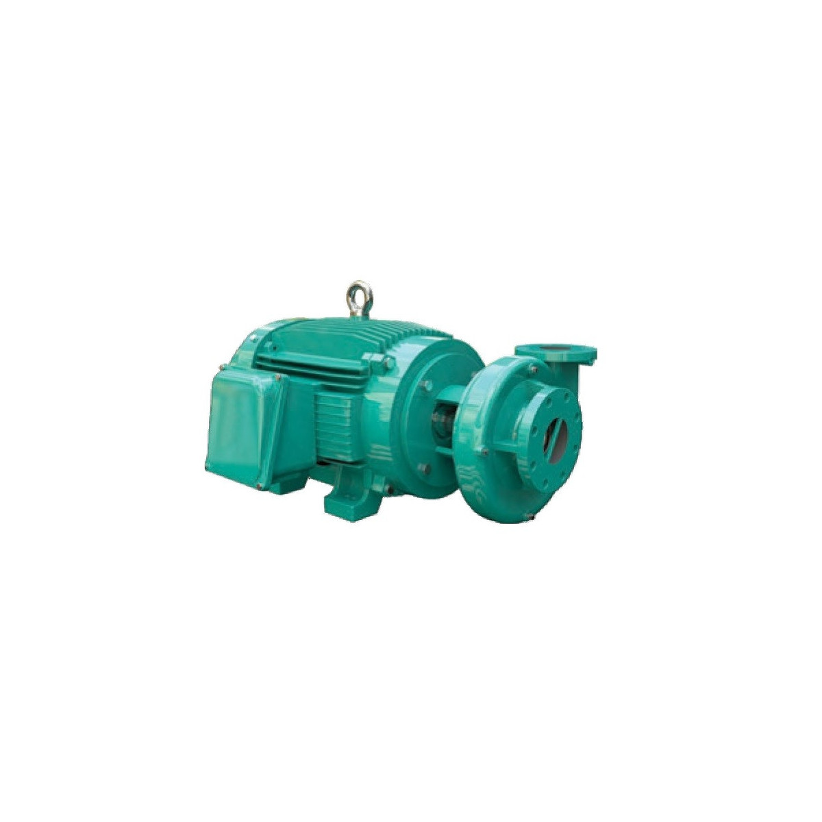1B0172WM - GE 4G 300-4 - WDM BOMBA GS MATERIAL HIERRO MOTOR ELÉCTRICO A ...