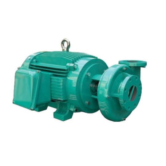 1B0169WM - GE 6G 1250-4 - WDM BOMBA GS MATERIAL HIERRO MOTOR ELÉCTRICO ...